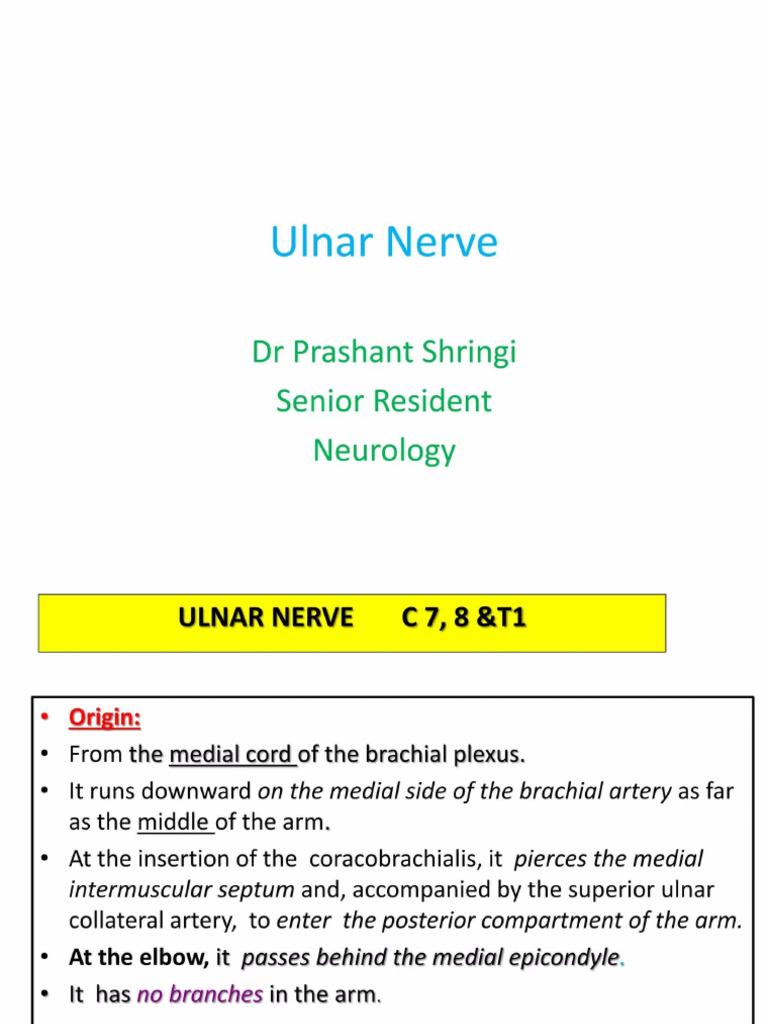 Ulner Nerve | PDF