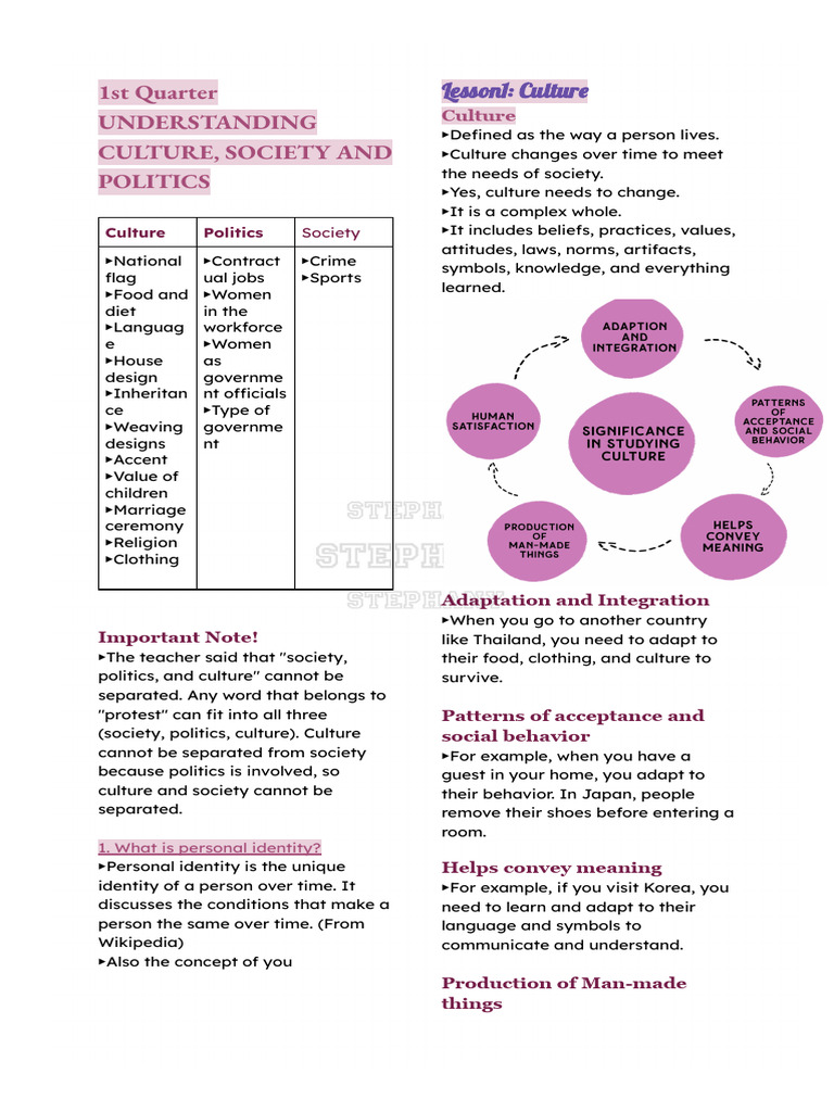 Culture, Society, and Politics Overview | PDF | Deviance (Sociology) | Homo