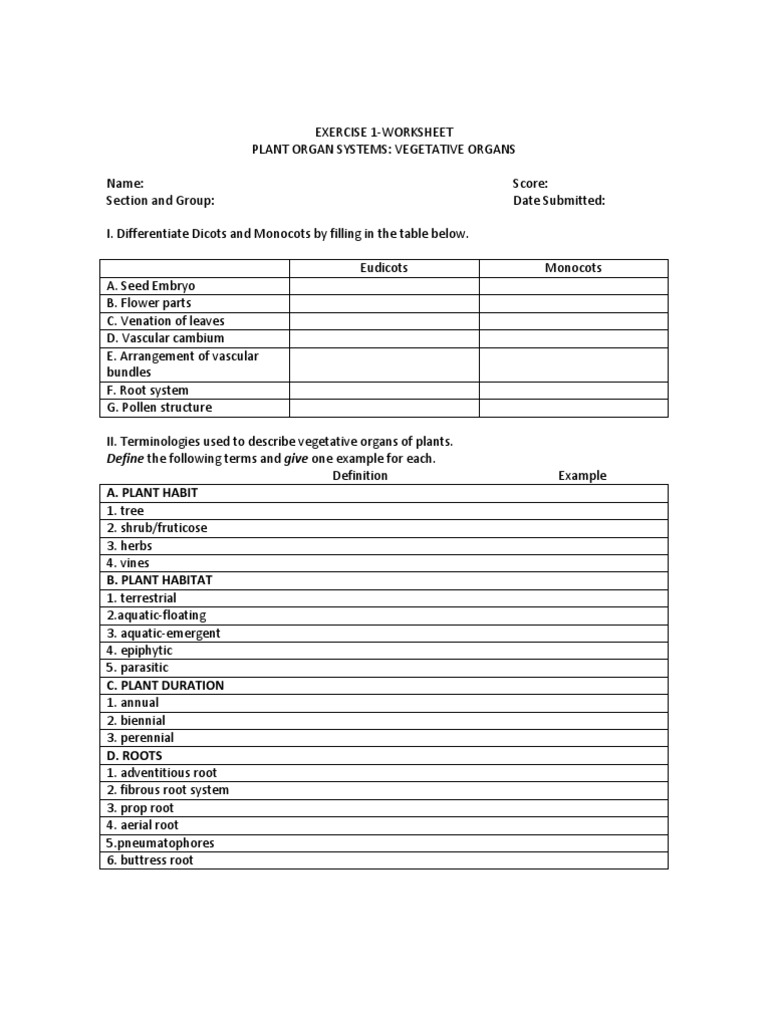 Plant organ systems worksheet | PDF | Leaf | Plants