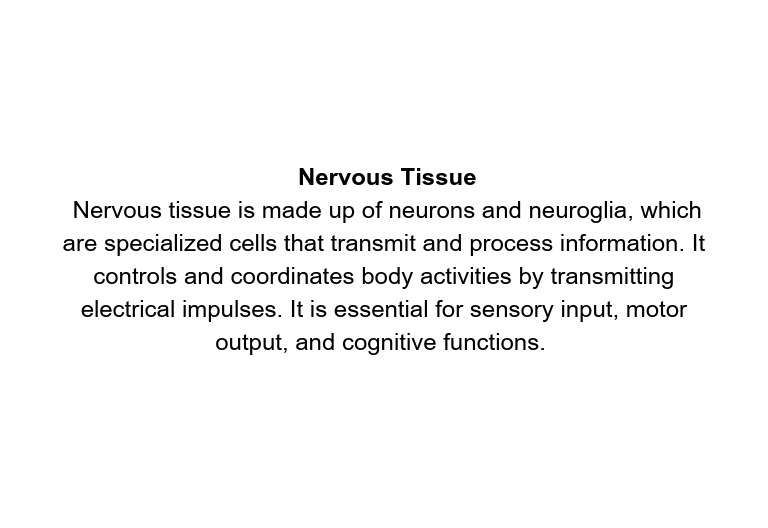 Nervous Tissue | PDF