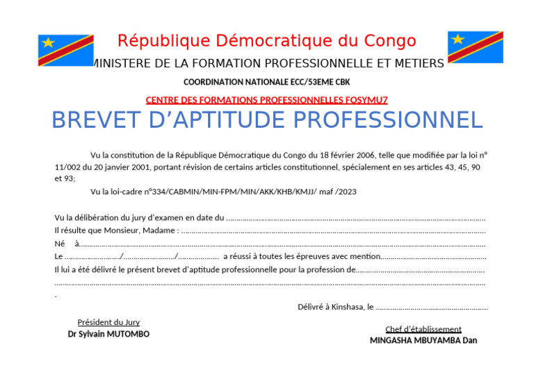 Brevet d'Aptitude Professionnelle RDC | PDF