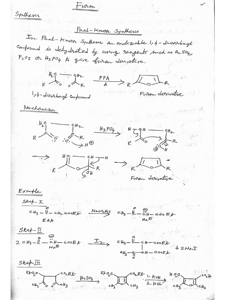 536 Pdf