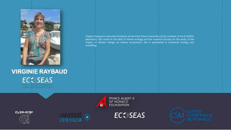Virginie Raybaud English | PDF