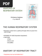 Respiratory System Diagram Activity | PDF