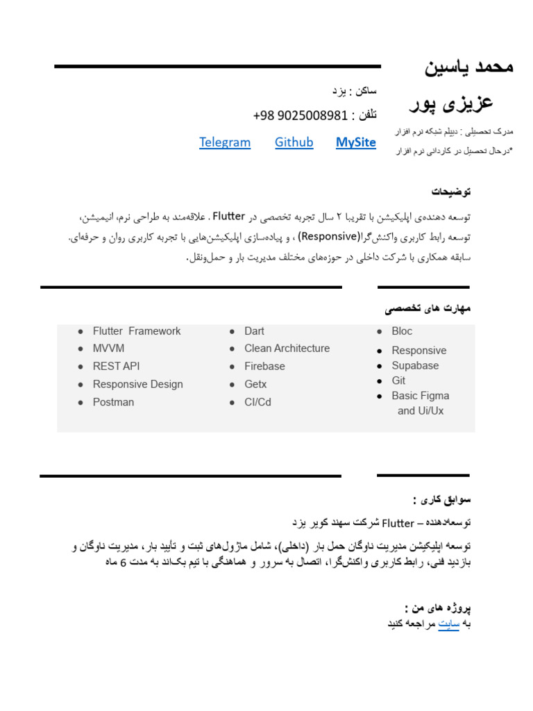 Flutter Resume | PDF
