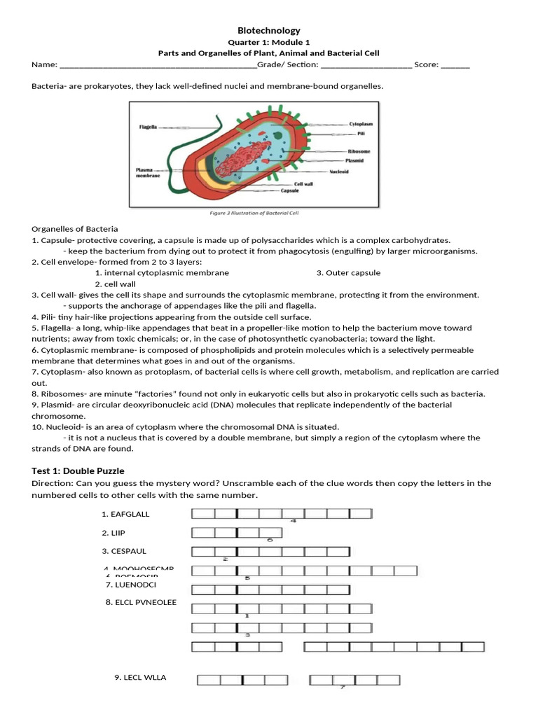 Modue 1 Parts and Organelles of Bacterial Cell 1 | PDF | Cell (Biology ...