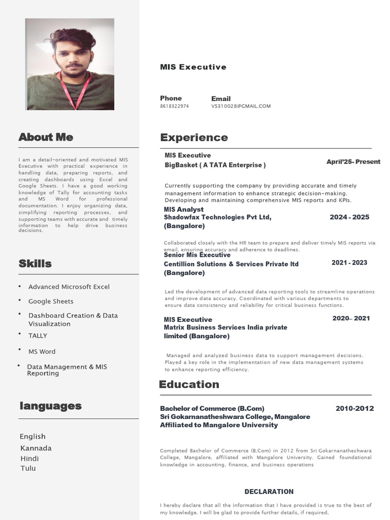 Vinay Shetty: MIS Executive Profile | PDF | Computing | Business