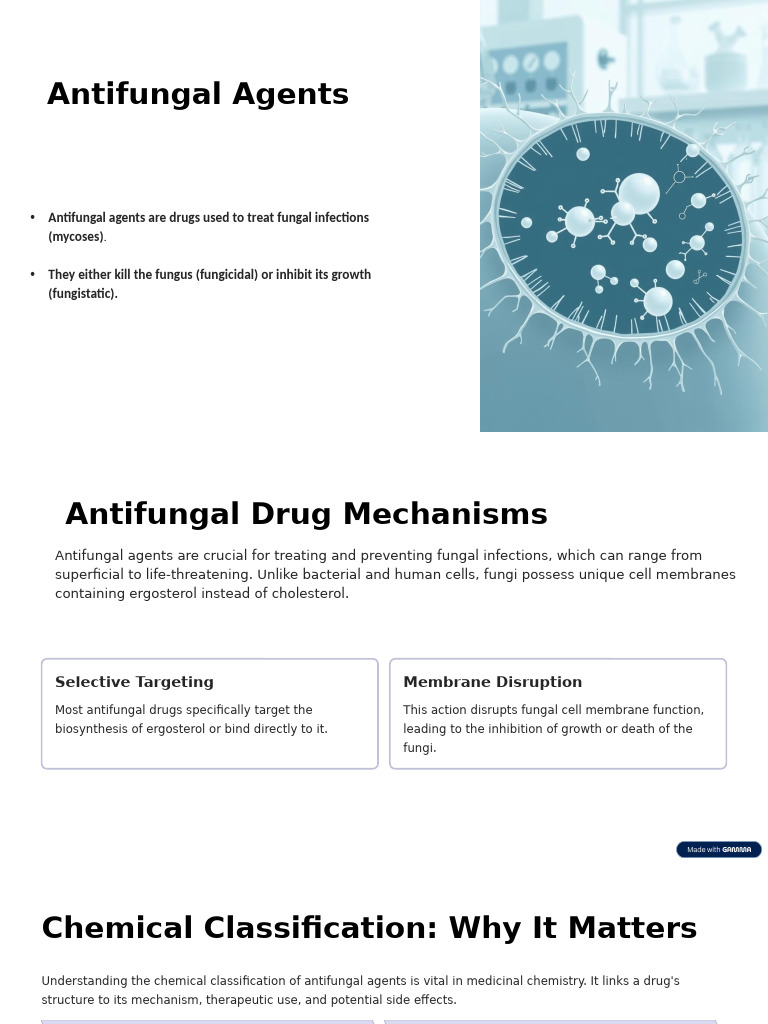 Overview of Synthetic Antifungal Agents | PDF | Drugs | Pharmacology