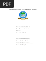 EVS Project Cover Page Design | PDF