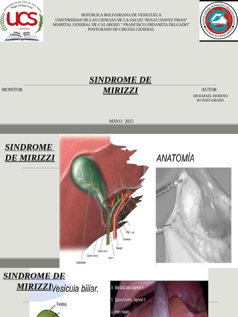 Mi Rizzi | PDF | Enfermedades y trastornos