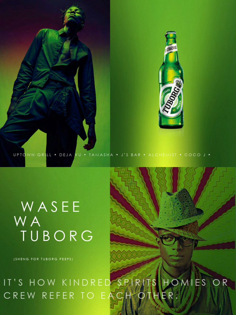 Turborg Final Presentation | PDF