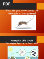 Life Cycle of Female Anopheles Mosquito | PDF | Mosquito | Fly