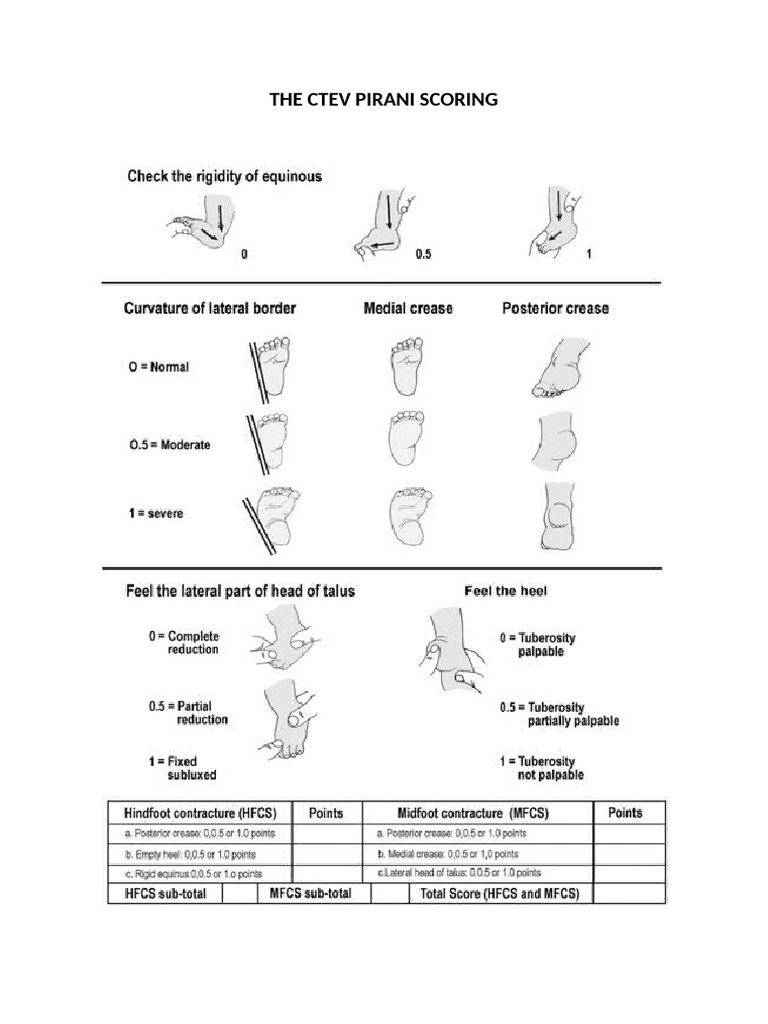 THE CTEV PIRANI SCORING | PDF