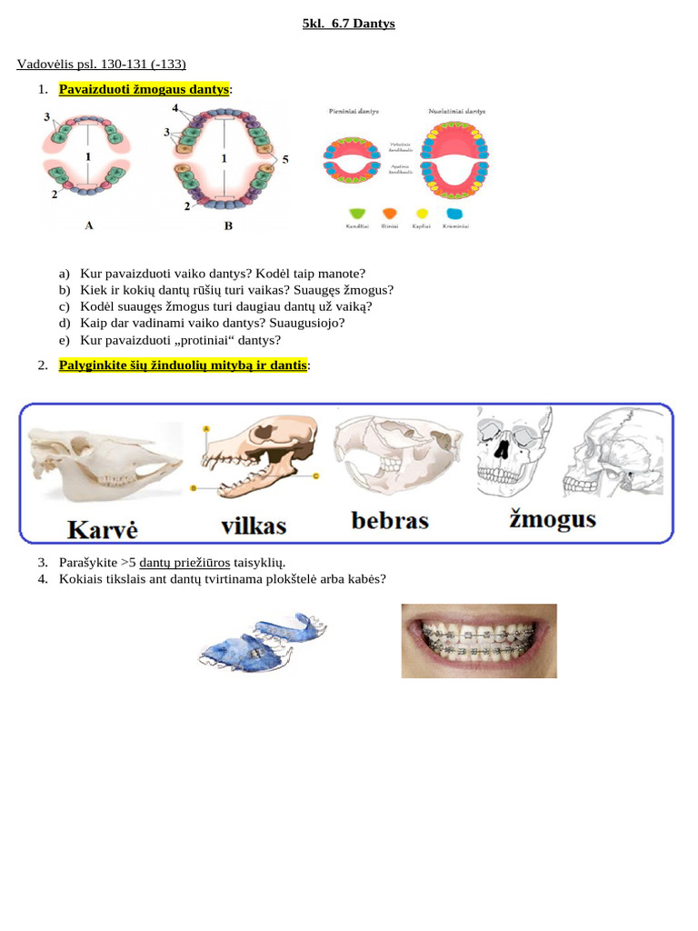 5kl. 6.6 Ir 6.7 KLASES DARBAS | PDF
