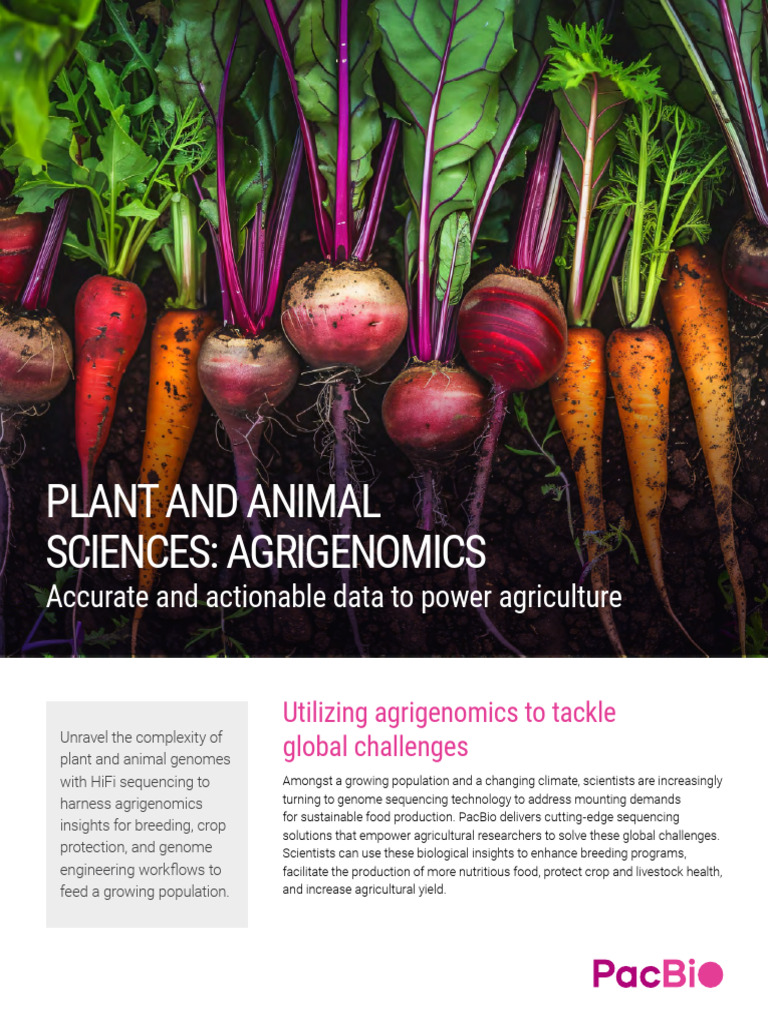 Agrigenomics Brochure 102 193 667 PAC BIO | PDF | Dna Sequencing ...