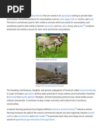 Overview of Writing Systems and Types | PDF | Alphabet | Writing