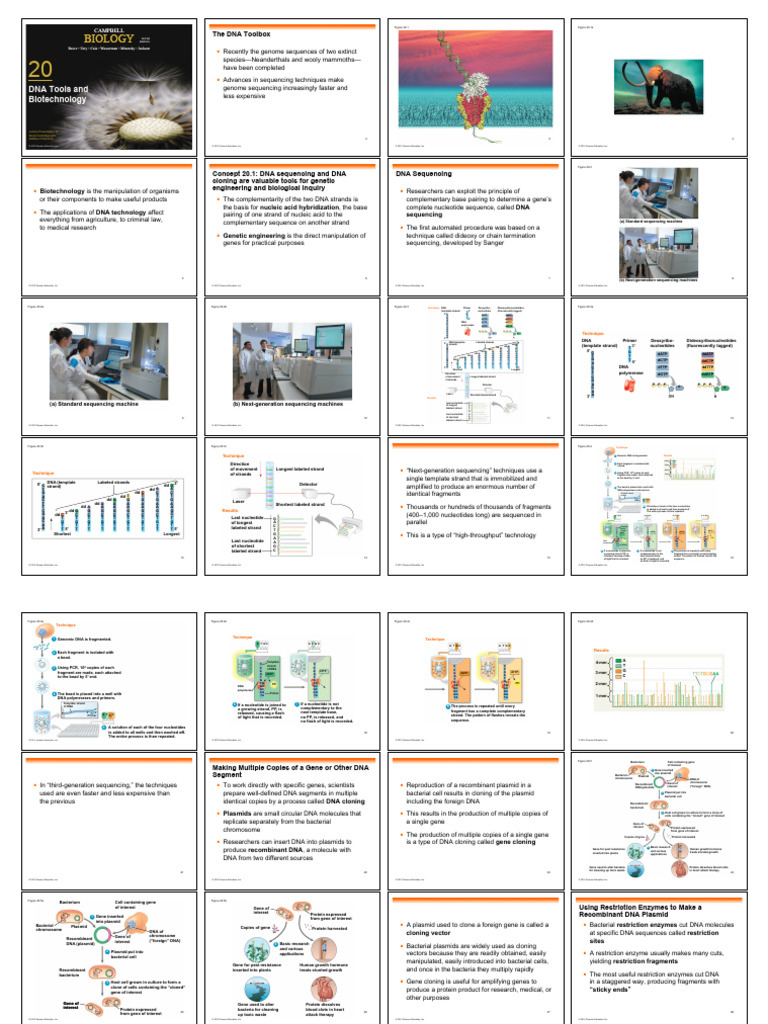 DNA Tools and Biotechnology Overview | PDF | Dna Sequencing ...