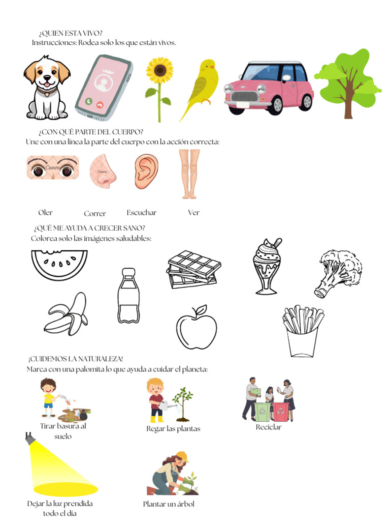 Color Illustrado Póster de Sentimientos y Emociones para Terapia Del ...