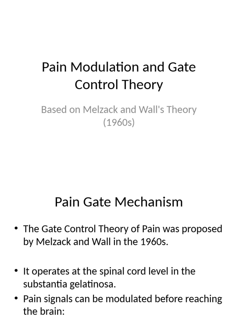 Pain Modulation: Gate Control Theory | PDF