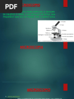 Microscopia de Luz Ultravioleta | PDF | Ultravioleta | Microscopio