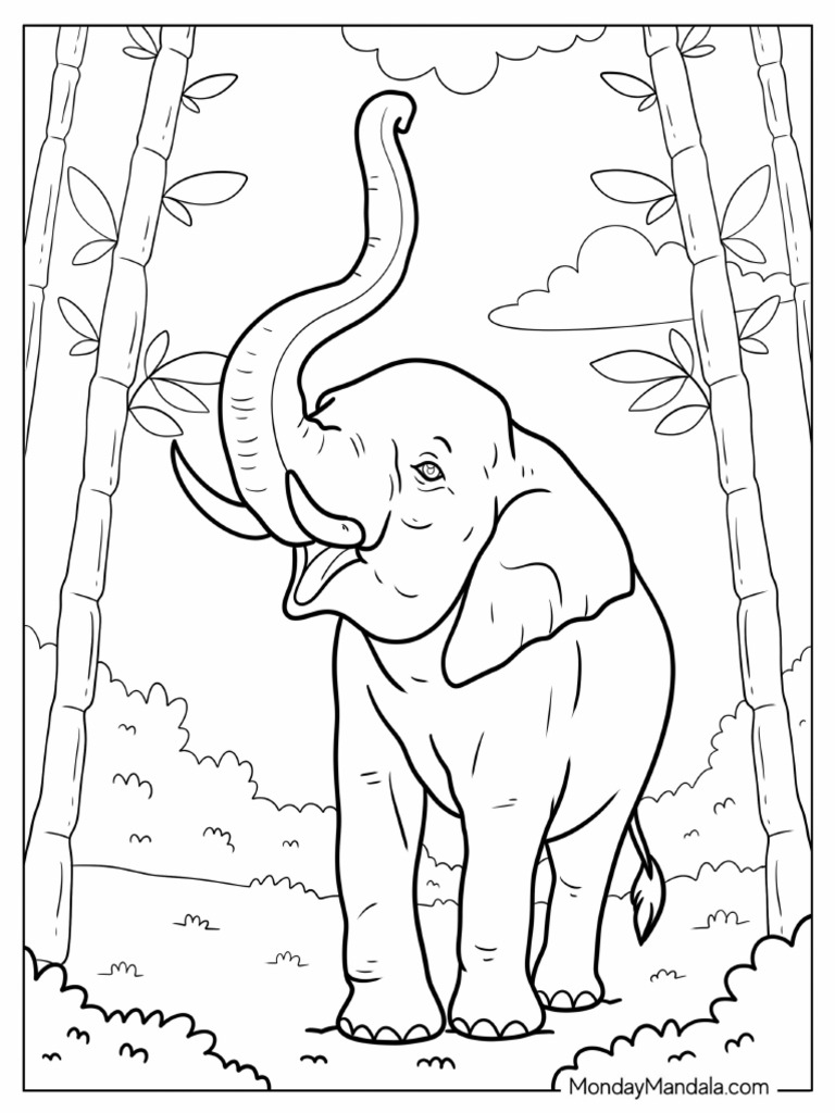 Smiling Elephant With Raised Trunk in Bamboo Forest Coloring Page | PDF