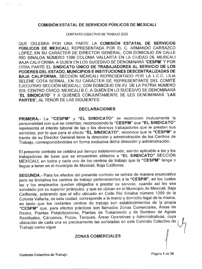 CCT Cespm 2025 | PDF