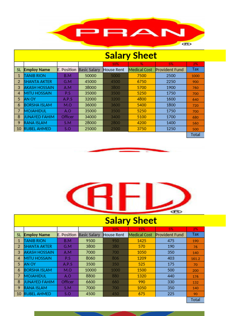 Salary Breakdown and Advances Report | PDF