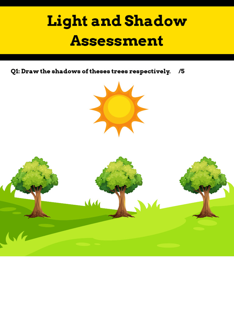 Light and Shadow Assessment Guide | PDF