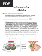 NETTER FLASH CARDS PORTUGUÊS - Colorido | PDF | Pescoço | Anatomia