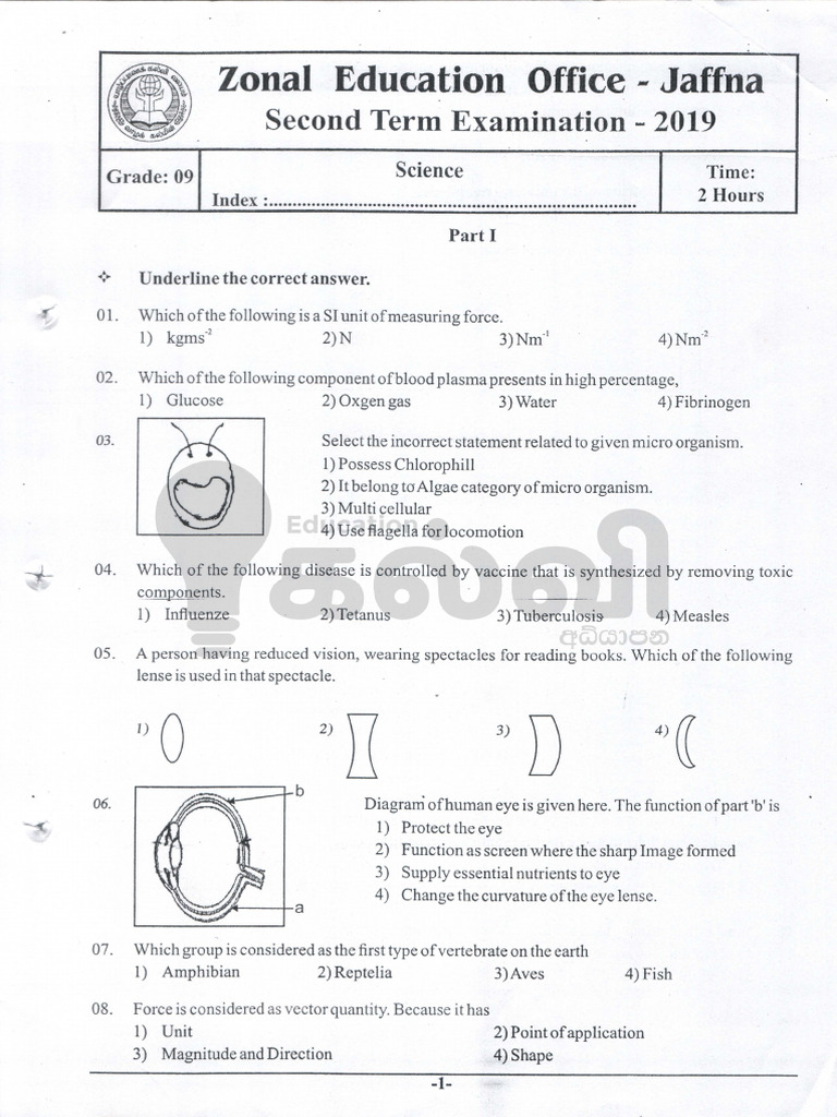 Gr9 en Science 2019 Term 2 | PDF