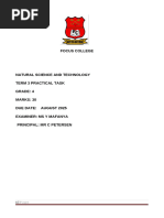 NS Grade 7 - Term 3 - PLC Project - 2025 | PDF | Nuclear Power | Coal