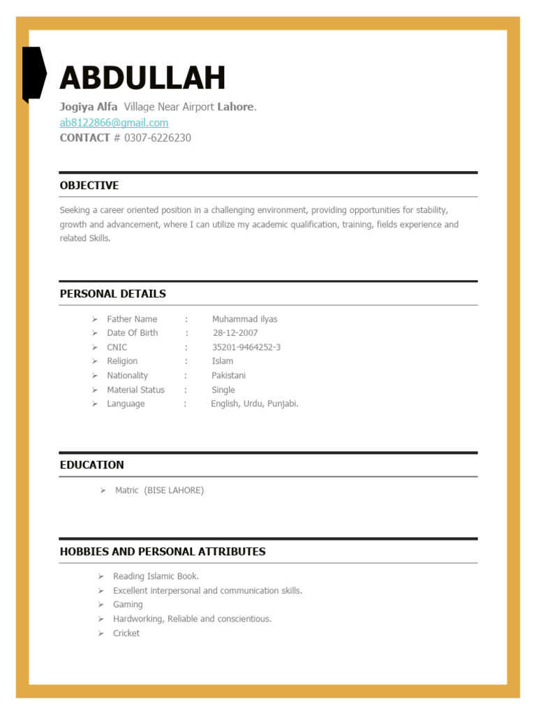 Abdullah's Career Objective and Profile | PDF