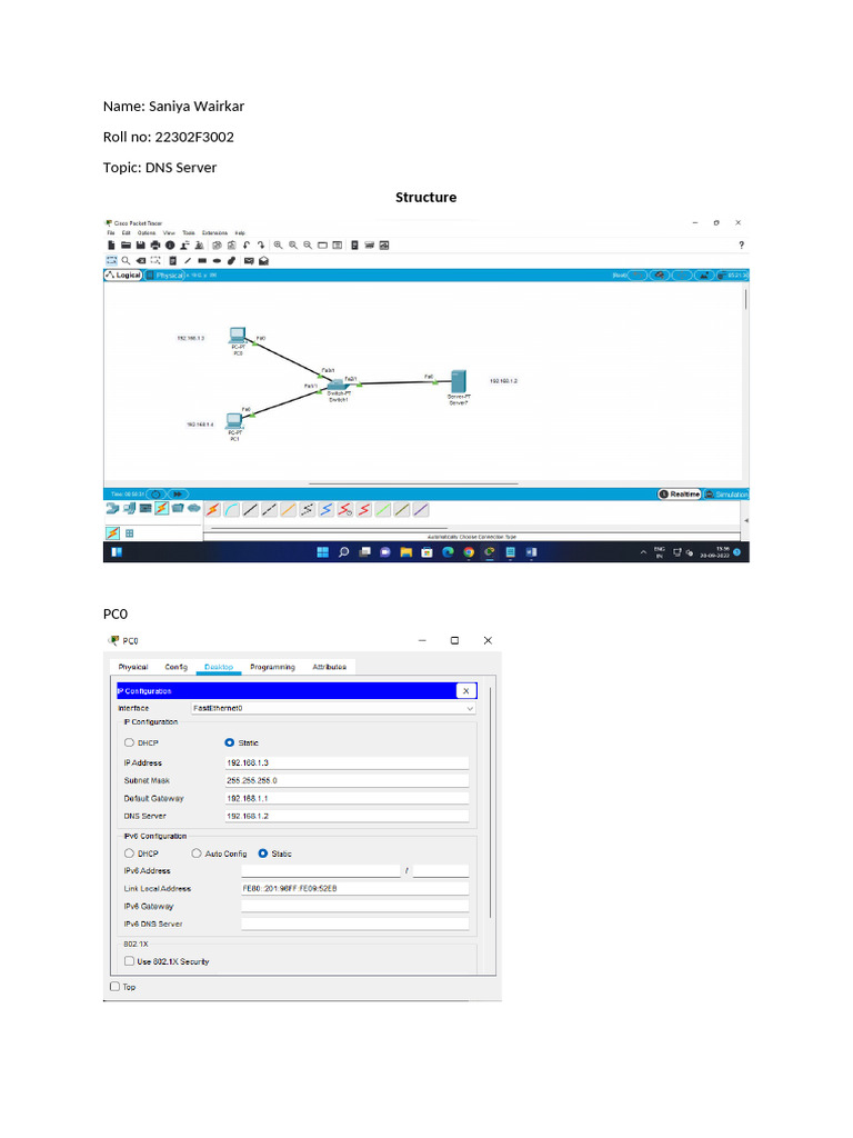 Saniya - Prac - DNS | PDF