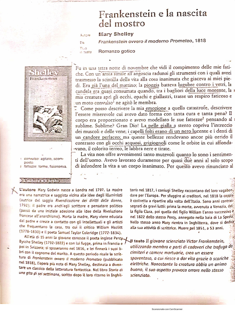 Frankenstein 1 | PDF