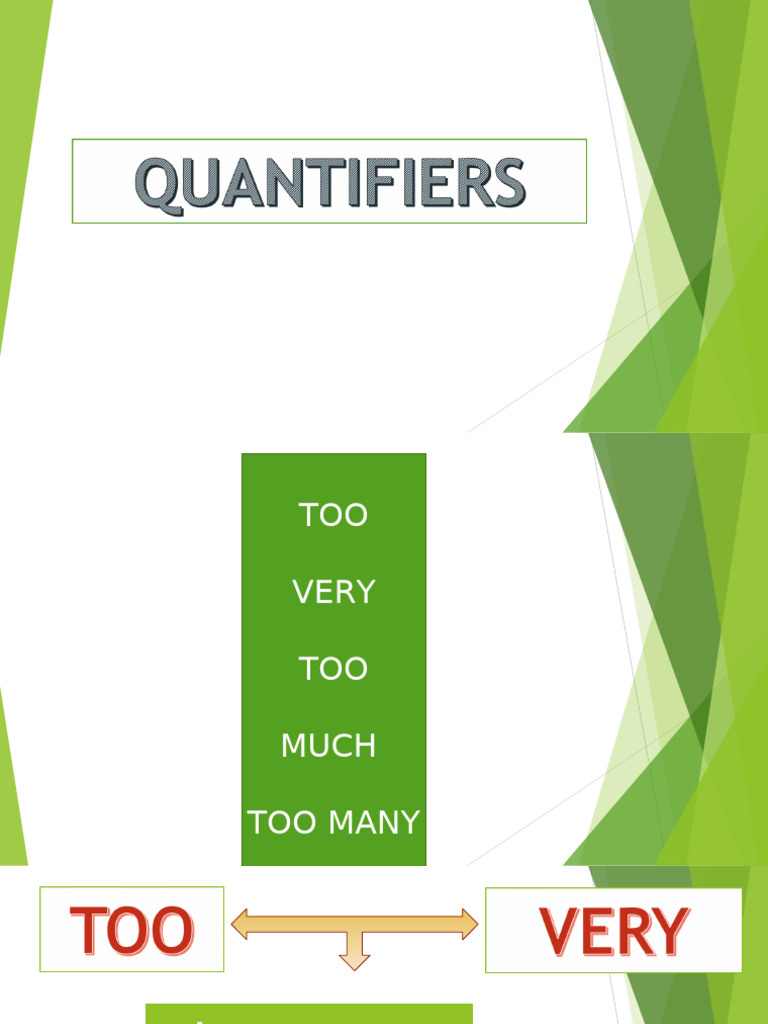 Too Very Too Muchmany Enough Grammar Guides - 119216 | PDF