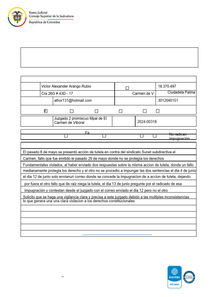 Formato Solicitud de Vigilancia Judicial | PDF | Ley Pública | Gobierno