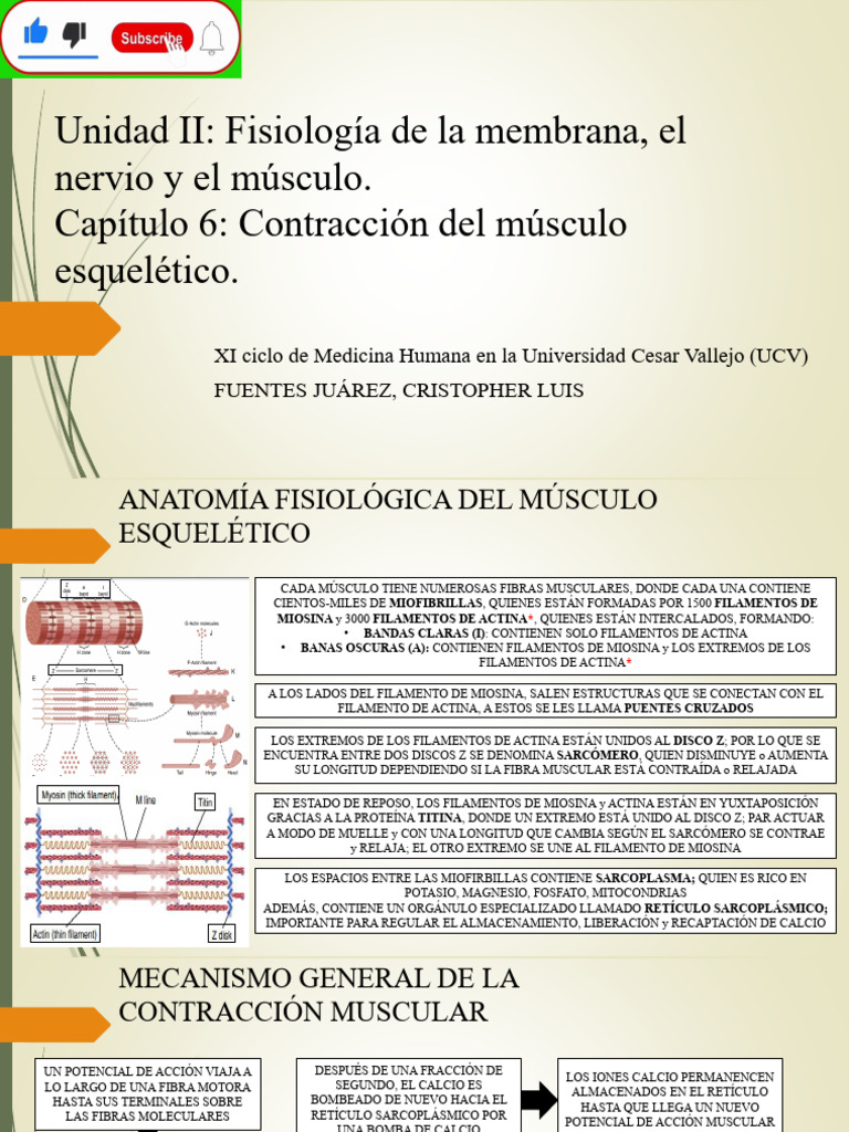 Capitulo 6 GUYTON | PDF | Contracción muscular | Músculo