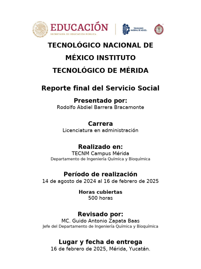 Reporte Final Servicio Social | PDF | Computación en la nube | Gestión de recursos humanos