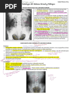 Signos de Neumoperitoneo | PDF | Abdomen | Hígado