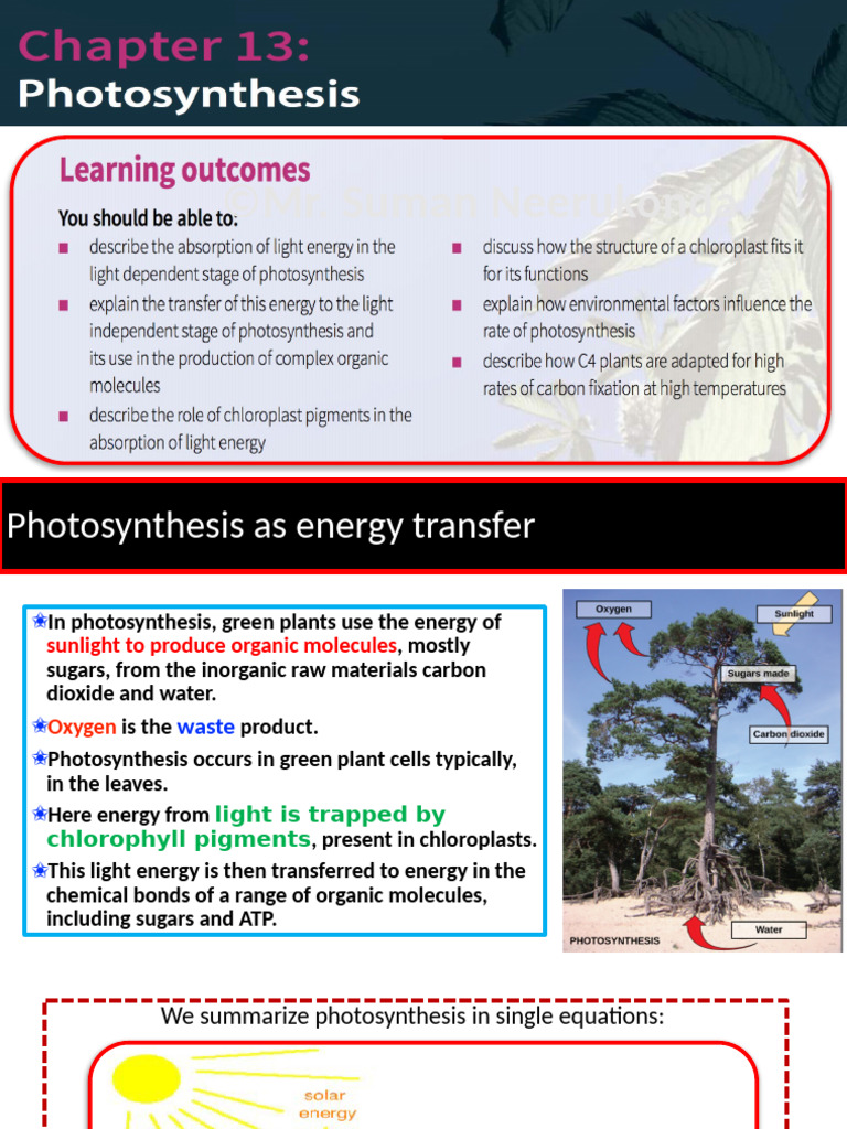 IGCSE - Photosynthesis PPT (0610) | PDF | Photosynthesis | Chloroplast