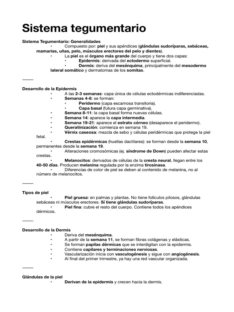 Sistema Tegumentario | PDF | Piel | Sistema tegumentario