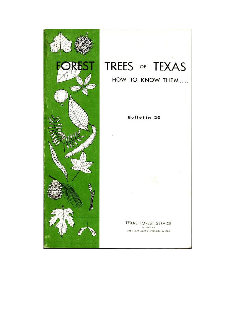 The Project Gutenberg eBook of Forest Trees of Texas: How to Know Them | PDF | Pine | Trees