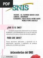 SNIS | PDF | Información | Vigilancia
