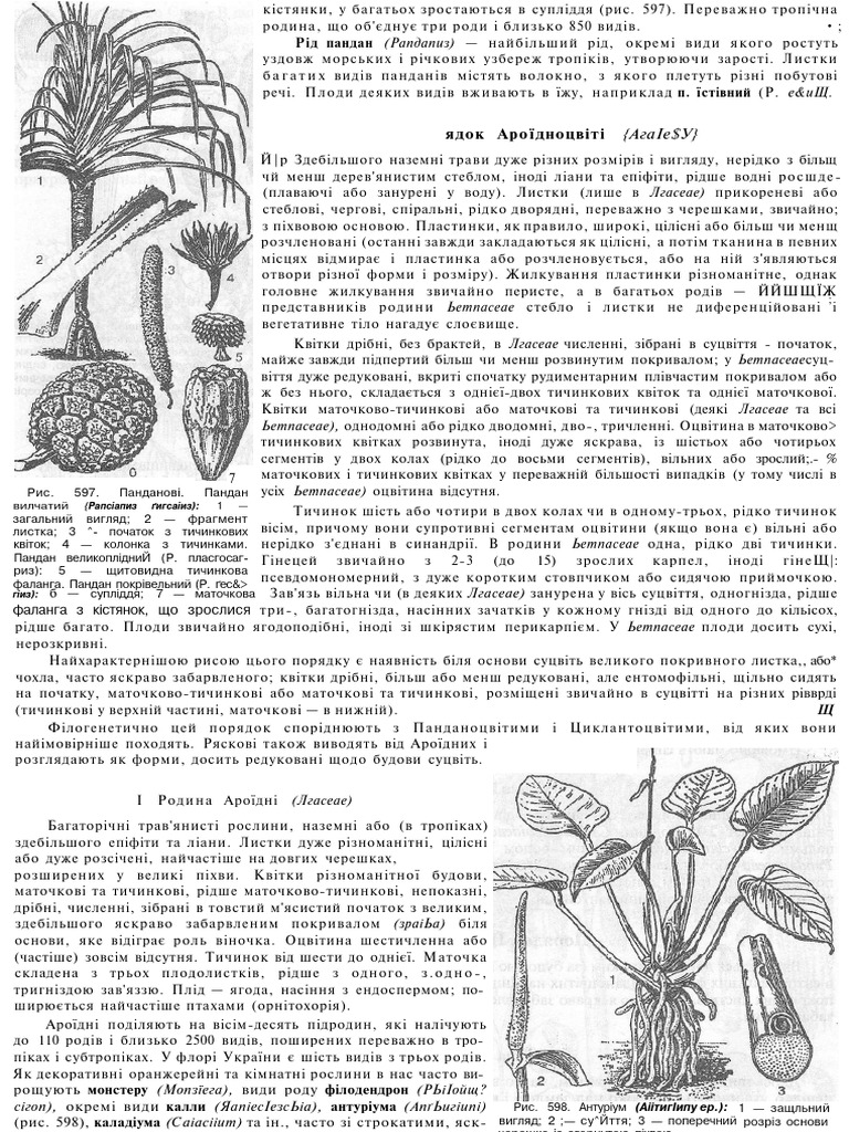 Nechitailo Va Kucheriava LF Botanika Vishchi Roslini | PDF