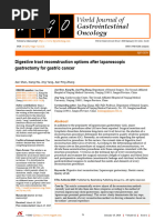 Zoxil S - SF Approved PIL | PDF | Birth Control | Breastfeeding