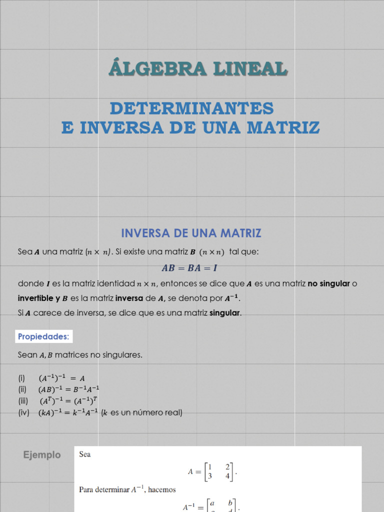 Inversa y Determinantes de Matrices | PDF | Determinante | Matriz ...