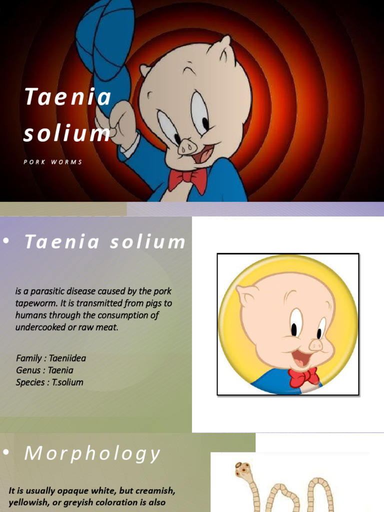 Taenia Solium (Ahmed Ebrahim) | PDF | Medical Specialties | Microbiology