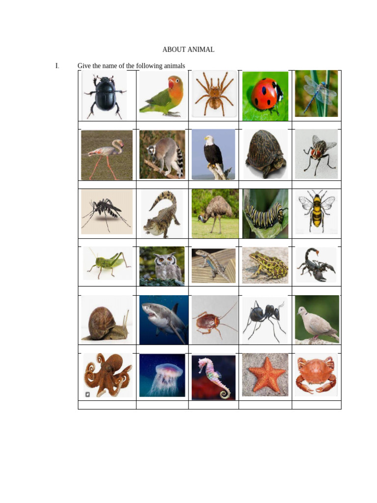 Animal Classification and Behavior | PDF | Mammals | Birds