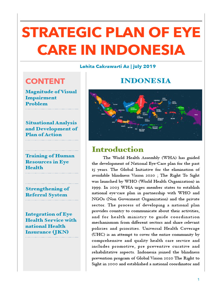 Strategic Eye Care Plan in Indonesia - Lohita Cakrawarti | PDF | Health ...