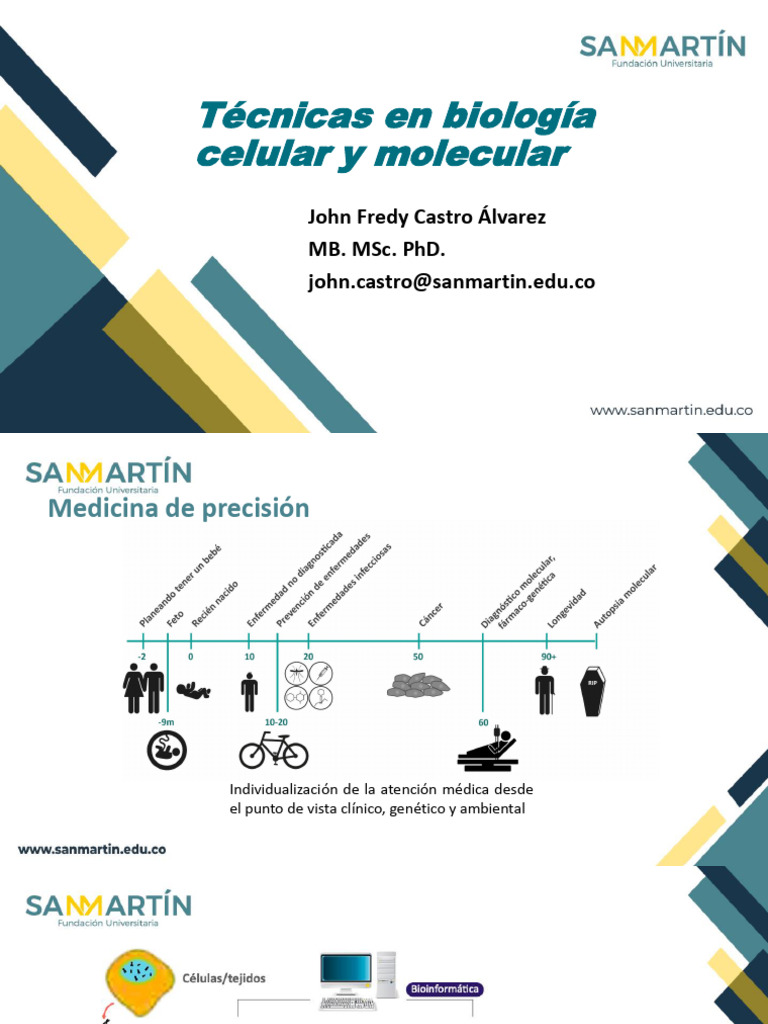 B15 (1) | PDF | Cariotipo | Hibridación in situ fluorescente